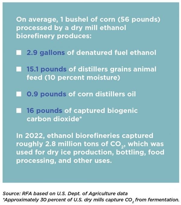 Why is Ethanol Important?